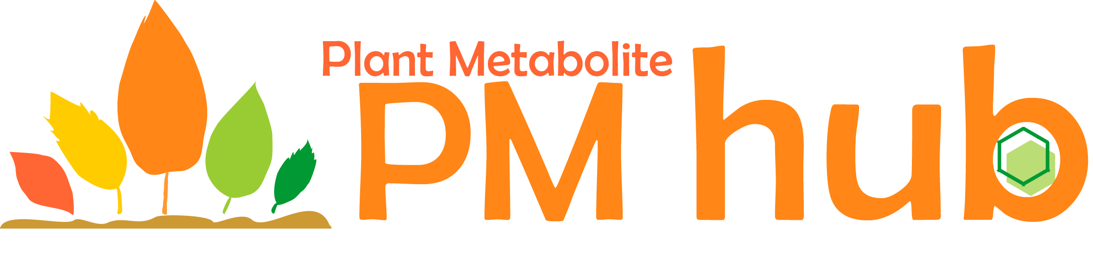 植物代谢物分析